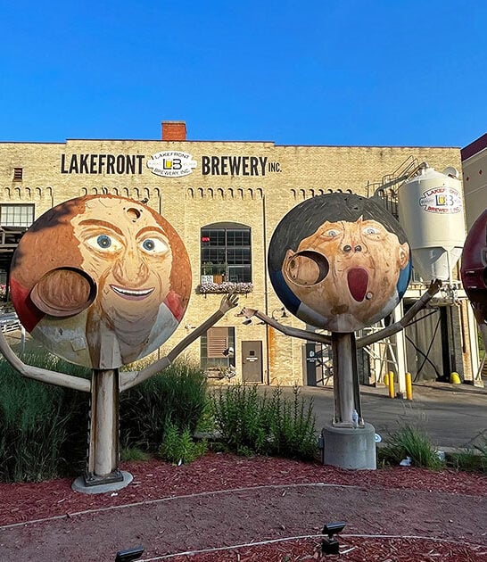 delicious wisconsin cheese curds ftr