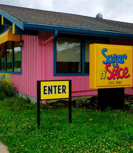 diner mexican omelet ohio ftr