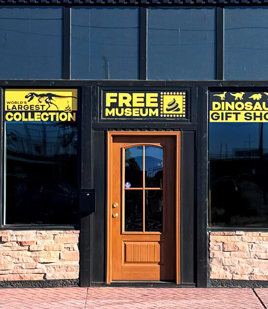 dinosaur poop museum arizona ftr