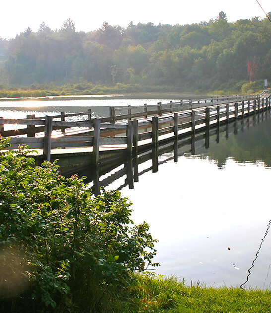 dreamy floating bridge vermont ftr