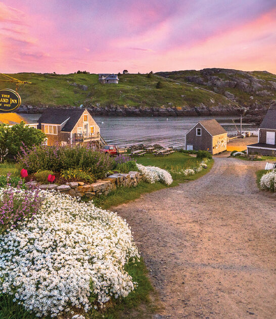 dreamy island maine ftr