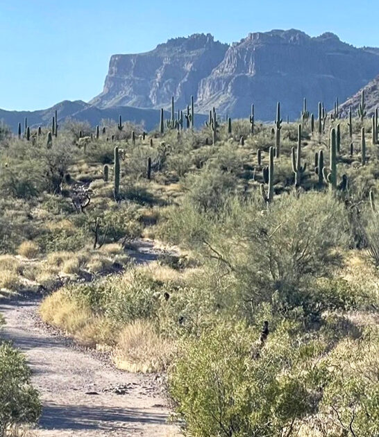 easy waterfall hike arizona ftr