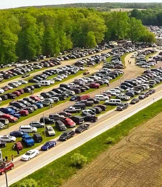 enormous michigan flea market ftr