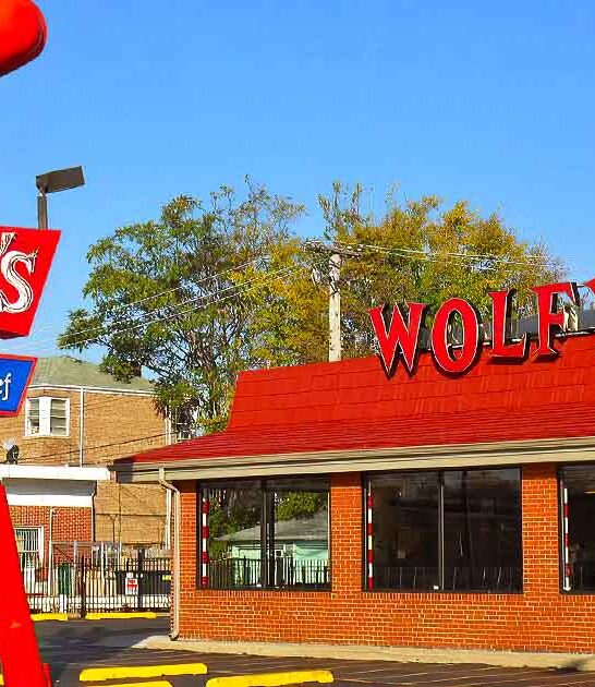famous chicago dog illinois ftr