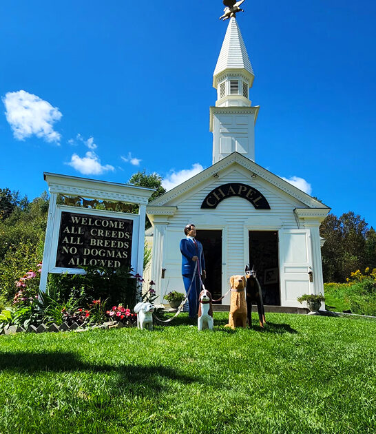 fascinating dog chapel vermont ftr