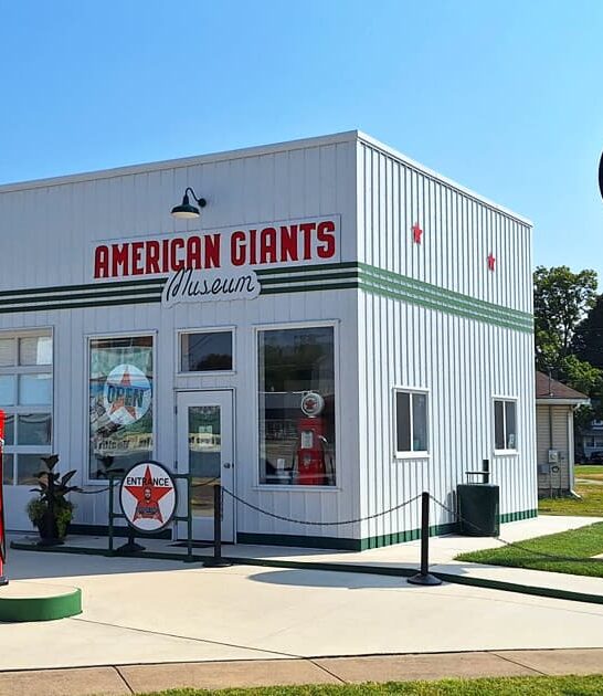 fascinating giants museum illinois ftr