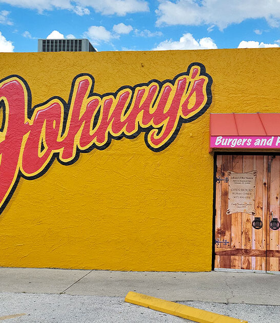 florida delicious chicken wings ftr