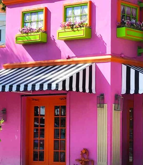 florida whimsical ice cream ftr