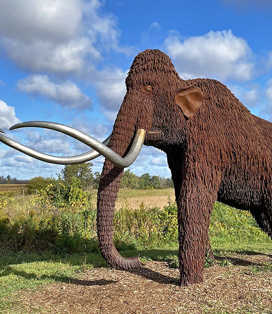 giant ice mammoth wisconsin ftr