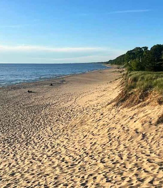 gorgeous michigan lake beach ftr