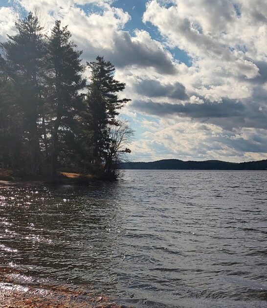 gorgeous vermont state park ftr