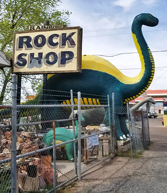 hunt petrified wood arizona ftr
