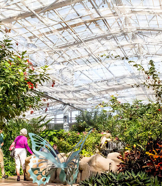 indoor butterfly conservatory arizona ftr