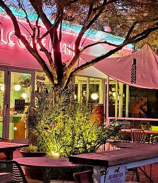 jackfruit poboy arizona ftr