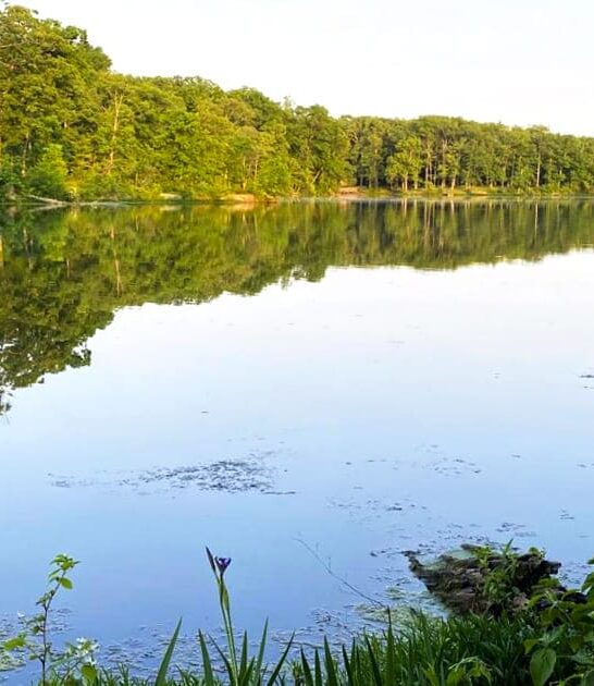 little known park illinois ftr