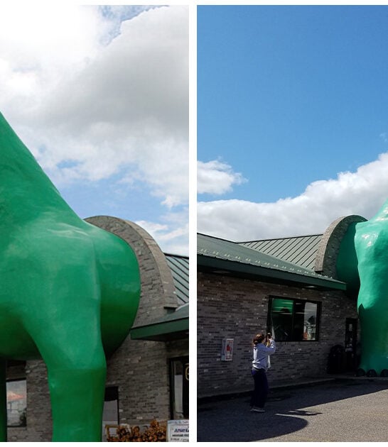 massive-brontosaurus-sculpture-wisconsin ftr