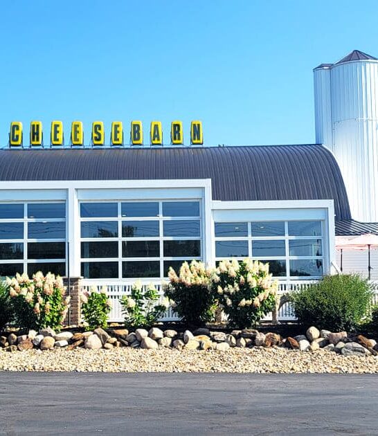 massive cheese shop ohio ftr