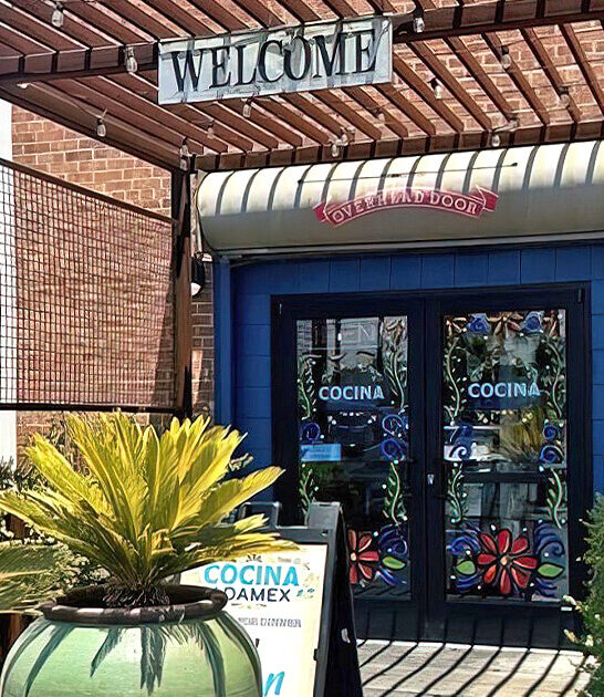 massive concha arizona ftr