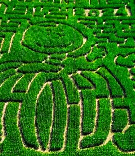massive corn maze michigan ftr