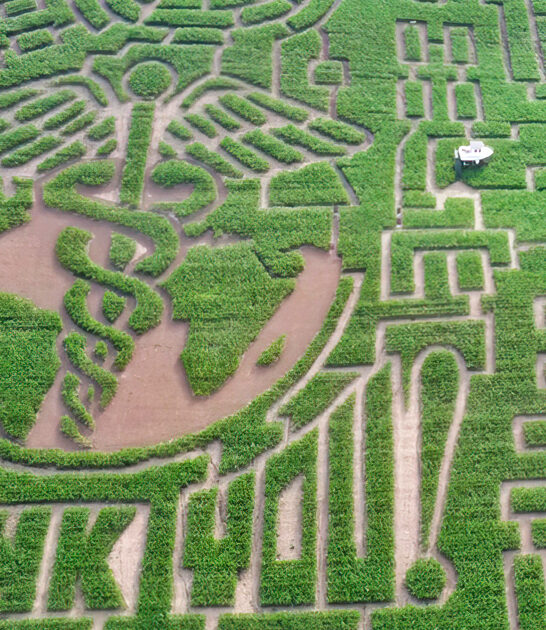 massive corn maze vermont ftr