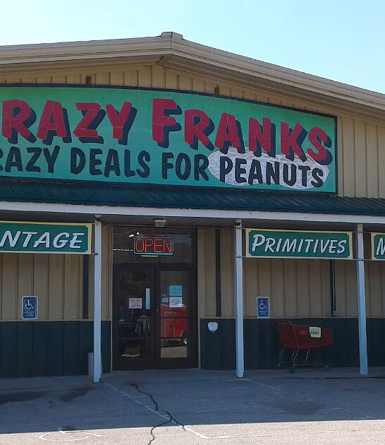 massive indoor flea wisconsin ftr