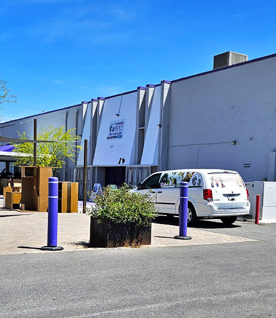 massive thrift store arizona ftr