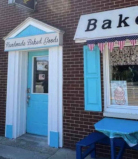 michigan bake shop donuts ftr
