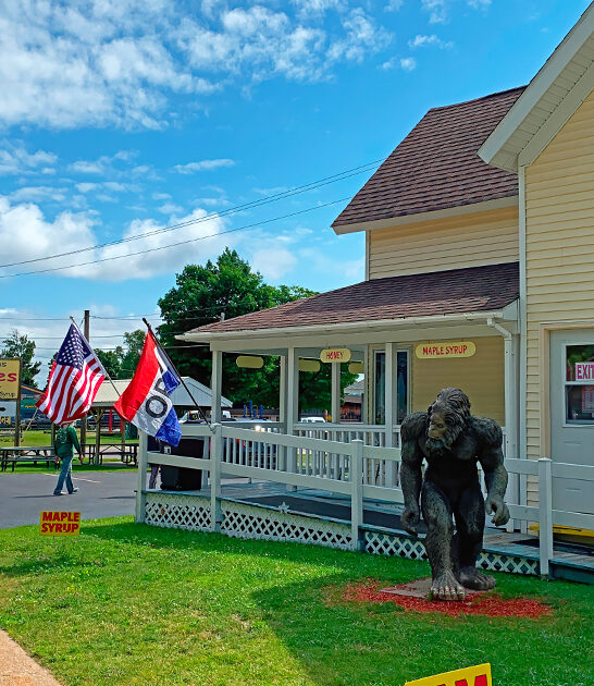 michigan best pasties ftr