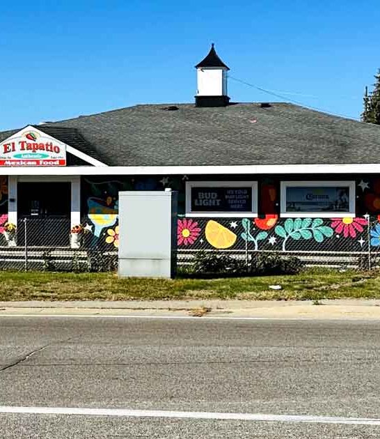 michigan mouth watering chips ftr