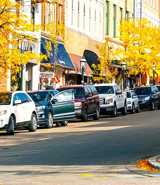 michigan town fall trip ftr