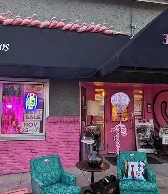 minnesota quirky antique store ftr