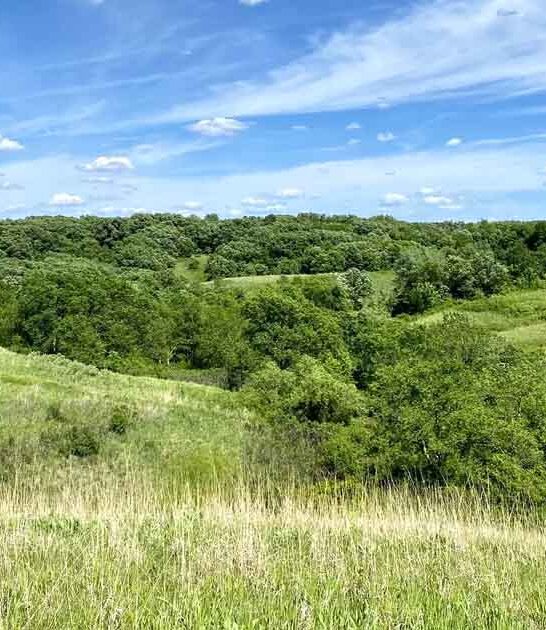 minnesota unknown state park ftr