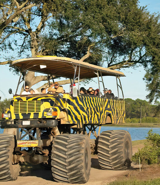 monster truck safari florida ftr