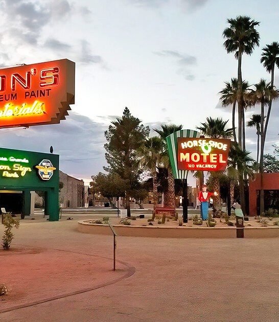 nostalgic neon park arizona ftr