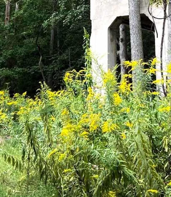 ohio mysterious abandoned ruins ftr