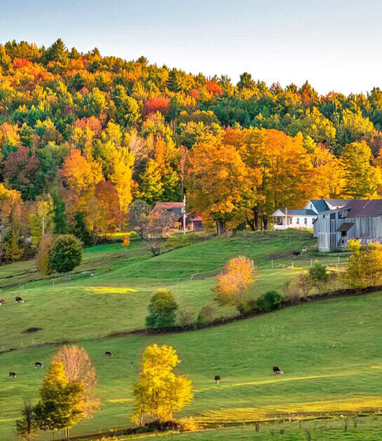 outdoor history museum vermont ftr