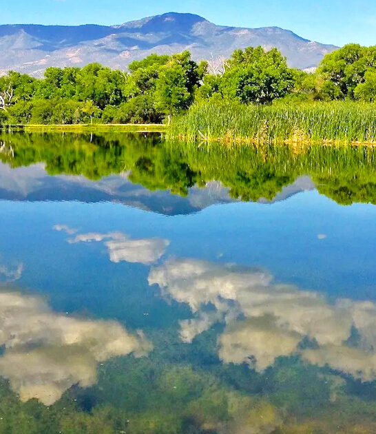 picturesque arizona state park ftr