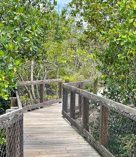 picturesque florida nature park ftr