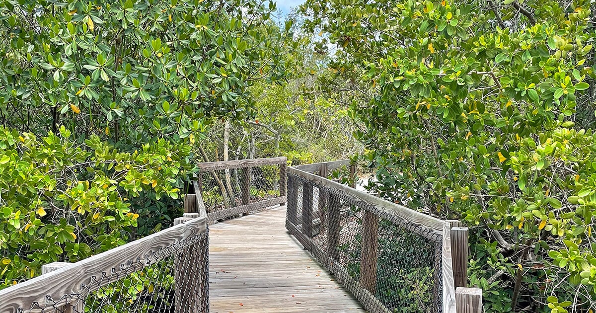 The Picturesque Nature Park In Florida That Most People Don’t Know About