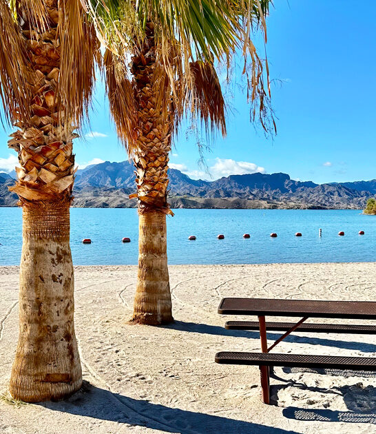 picturesque state park arizona ftr