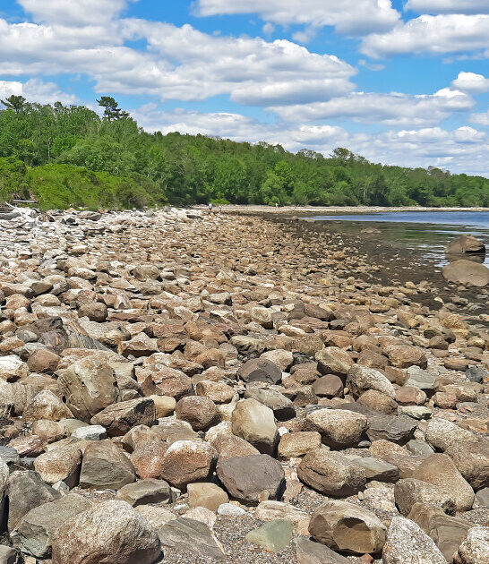 picturesque state park maine ftr