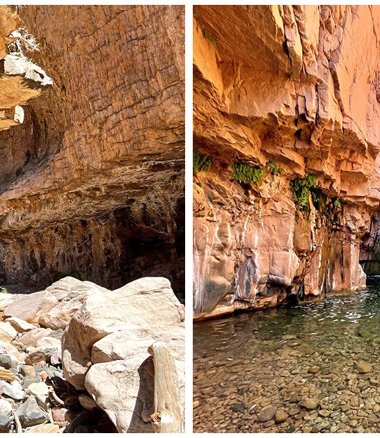 picturesque-trail-arizona ftr