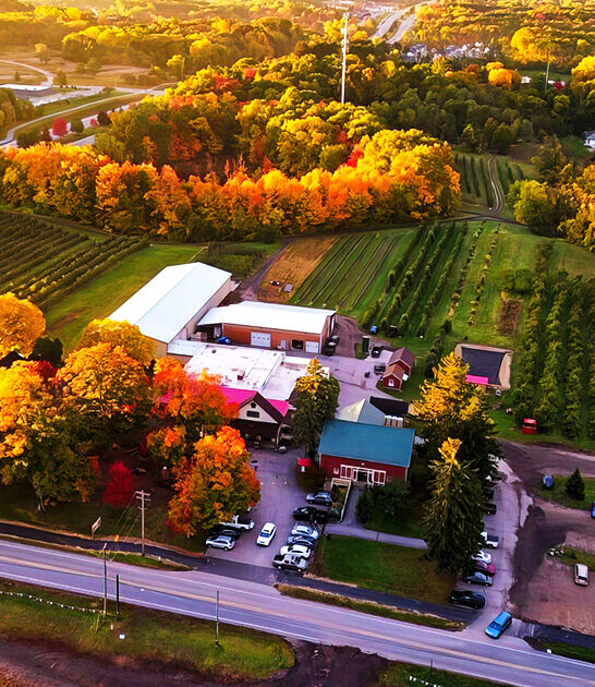 picturesque winery michigan ftr