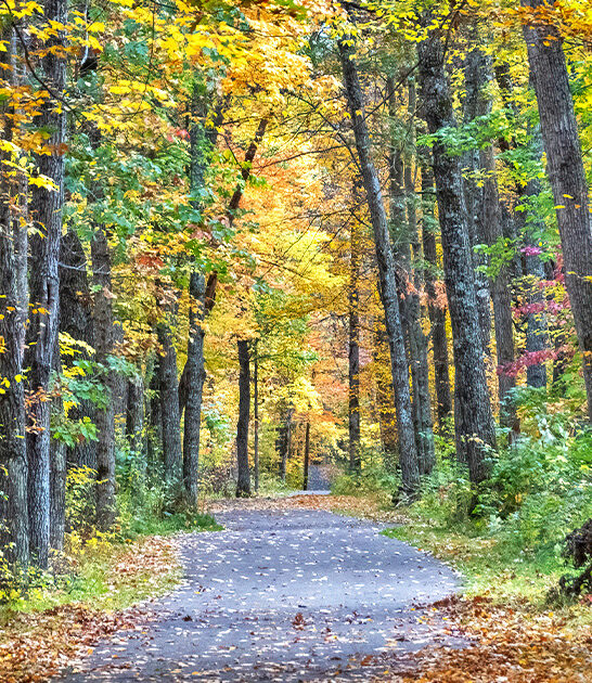 postcard state park minnesota ftr