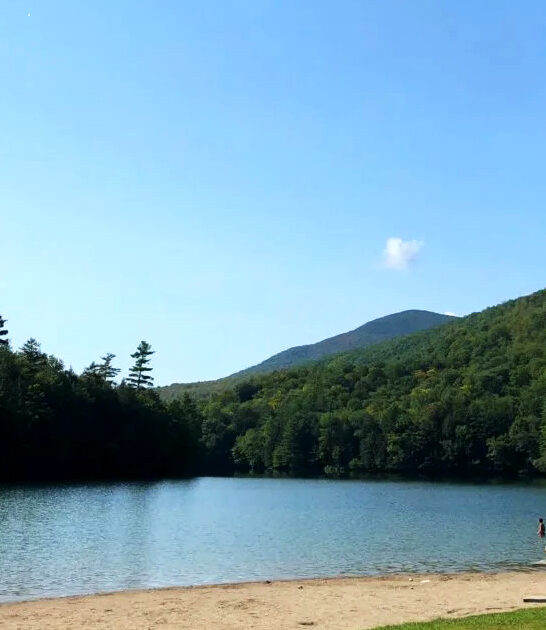 postcard state park vermont ftr