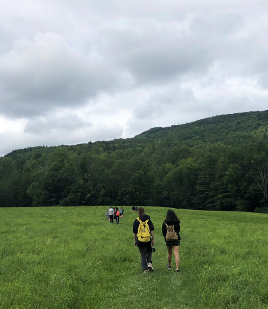 secret japanese garden vermont ftr