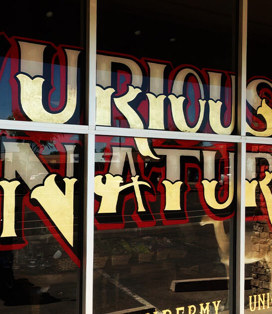 spooky curiosities skeletons arizona ftr