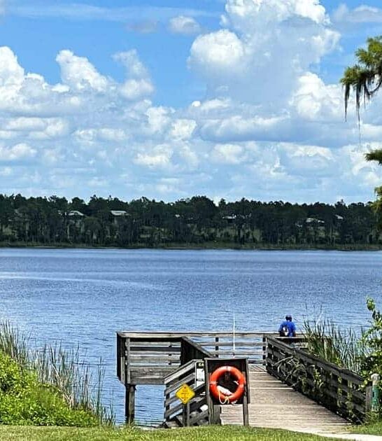 stress free florida park ftr