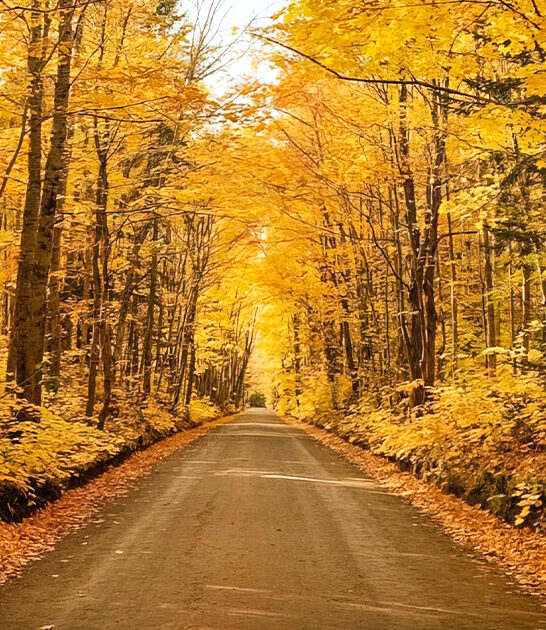 stunning fall drive michigan ftr