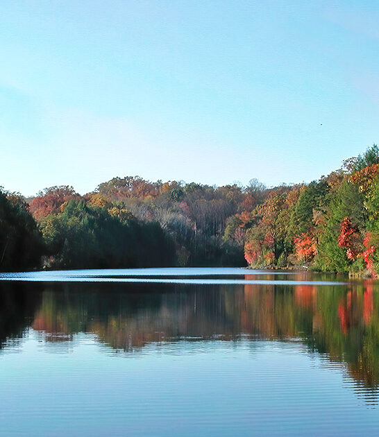 stunning nature preserve ohio ftr